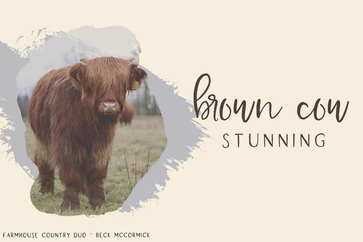 Farmhouse Country Rustic Script Font - Upfonts